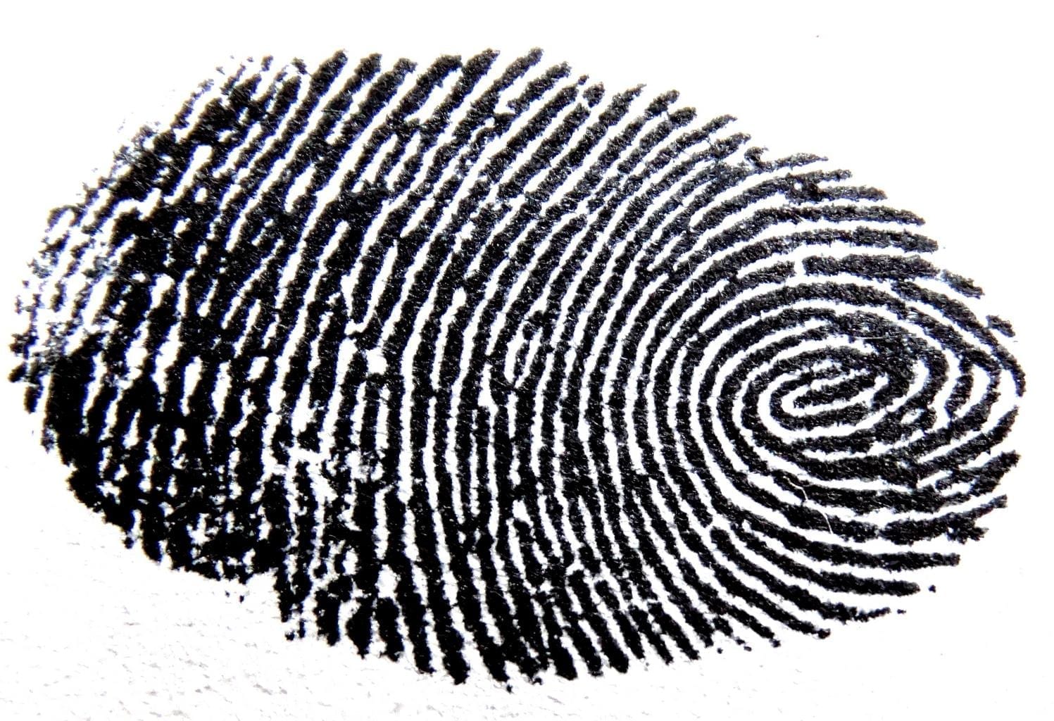 Fingerprint Facts | Fingerprinting | Door Lock | Scanner | Unique Fingerprint Facts | Fingerprinting | Door Lock | Scanner | Unique