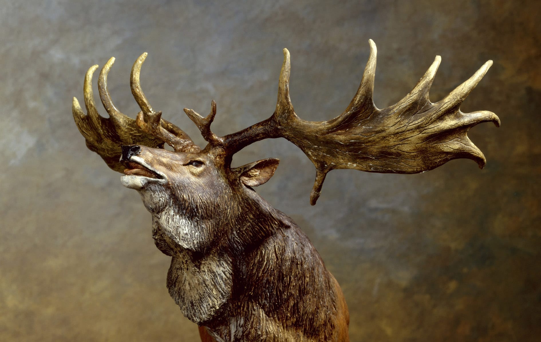 Irish Elk Facts | Irish Setter Elk Tracker Irish Elk Facts | Irish Setter Elk Tracker