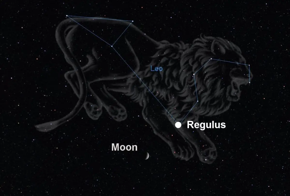 Constellation Leo Facts | Star | Location | The Lion