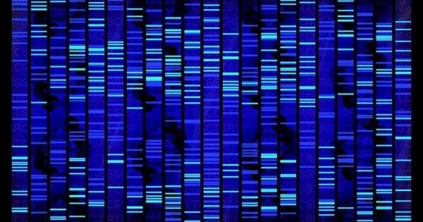 Junk DNA Facts | What Is Junk DNA | Mystery | Genes