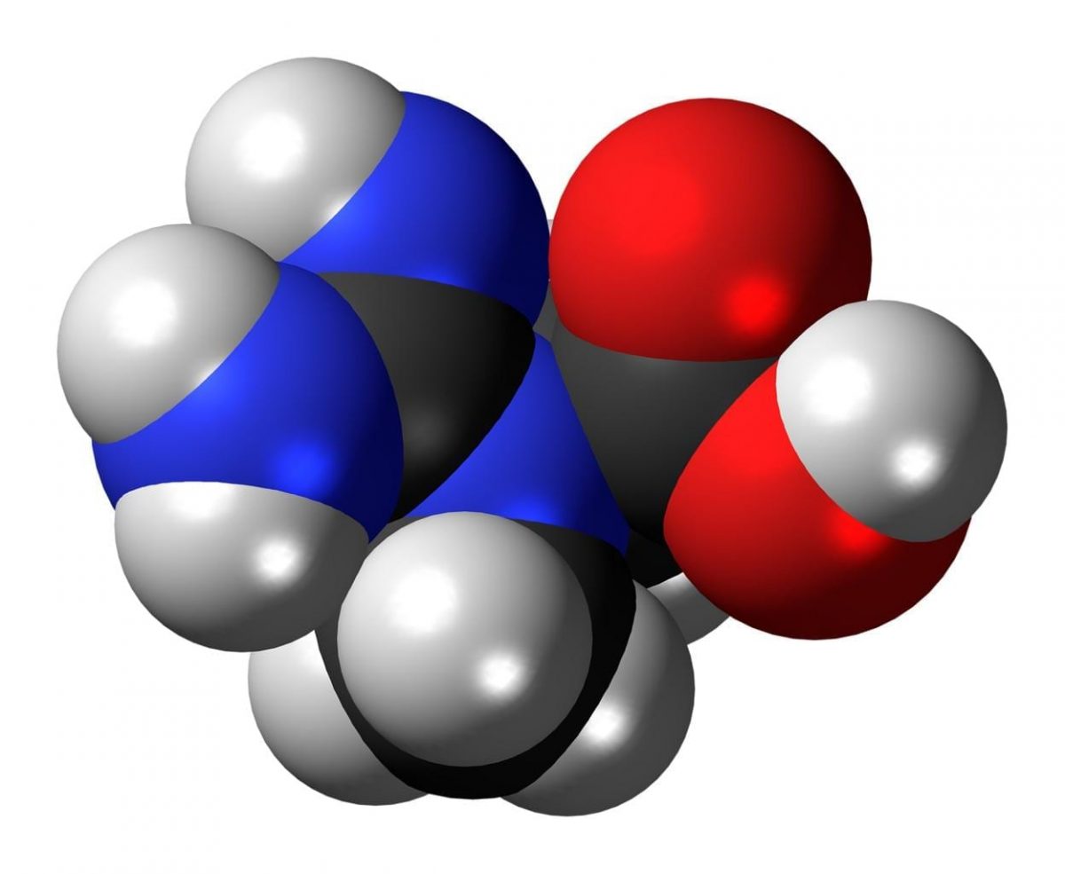 Cell Energy | Facts | Molecule