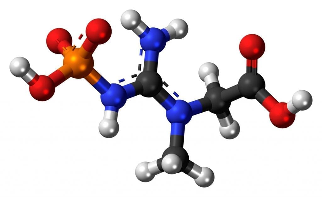 Cell Energy | Facts | Molecule