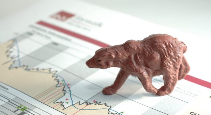 Bear Market Investing Strategies Bear Market Investing Strategies